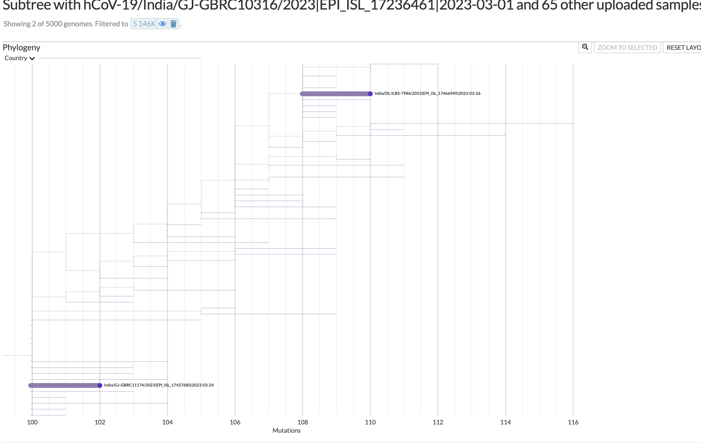 Various branches of XBB.1.16 and XBB.1.16.1 with S:Q146K (93 seqs, 8 countries and 23 seqs, 8 ...