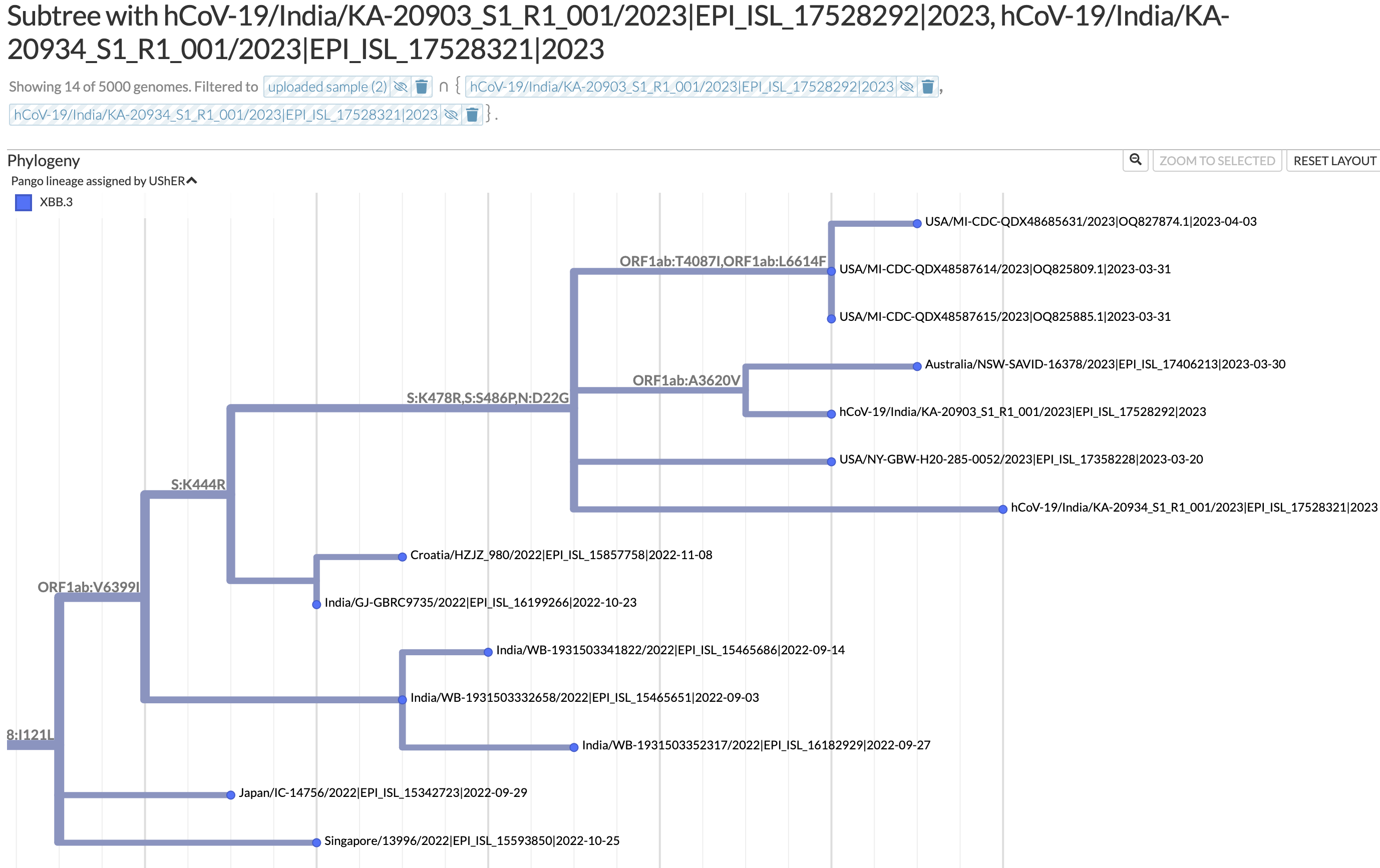 XBB.4(or XBB+S:K444R) with S:478R, S:486P, Orf9b:I19V, Orf8:F120V,I121L (7 seqs, 4 countries ...