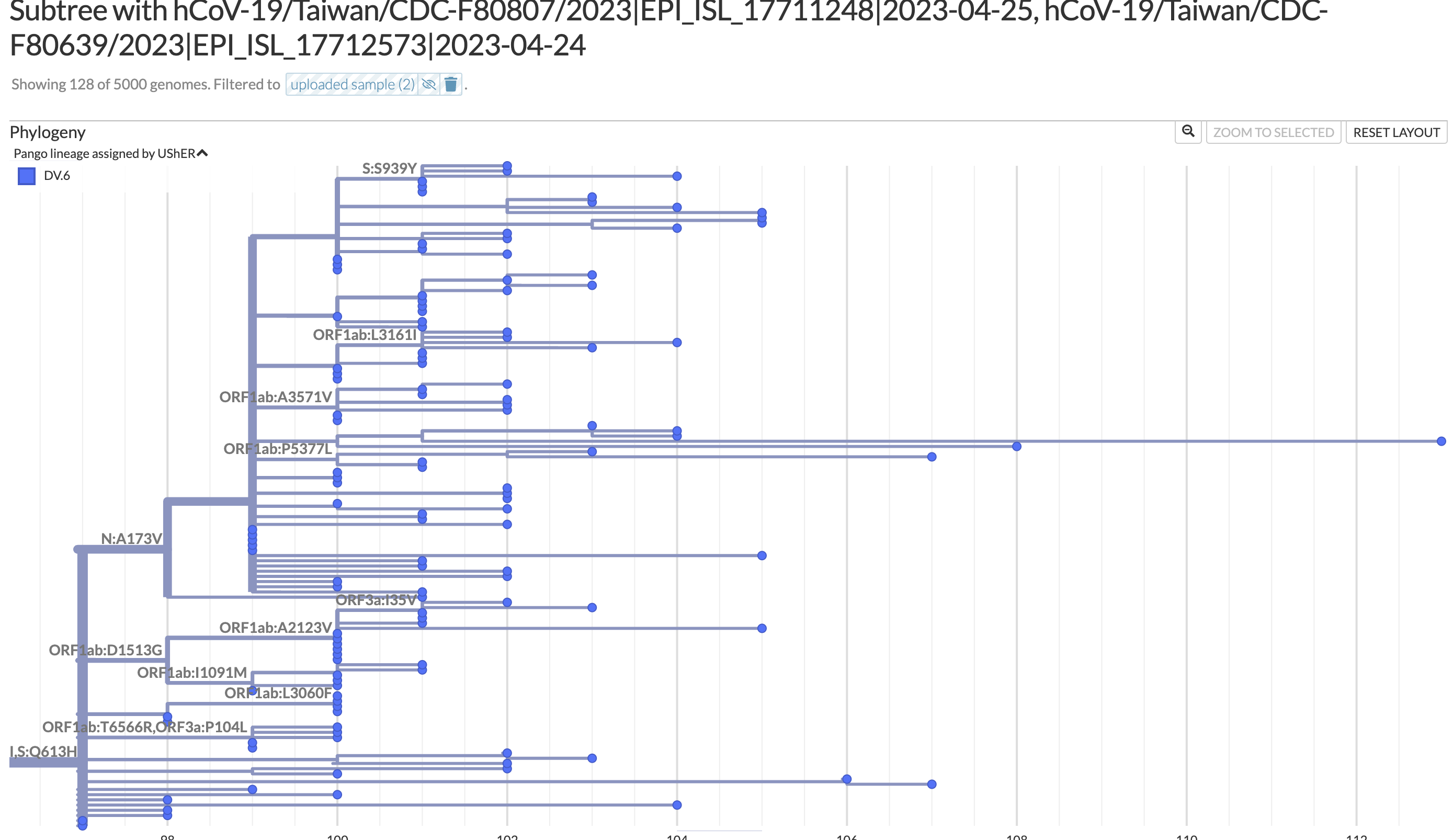 Fast growing DV.6+Orf1b:T1522I+S:Q613H (150 seqs, 16 countries) · Issue ...