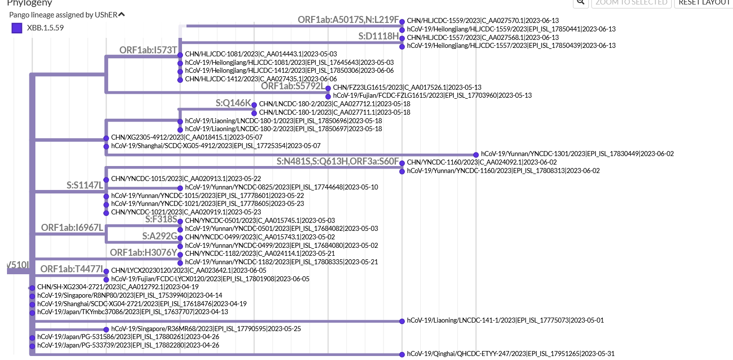XBB.1.5.59 ( S:F456L) +orf1a:T1429I, S:V510I in China (51 seqs, 5 countries) · Issue #304 · sars ...