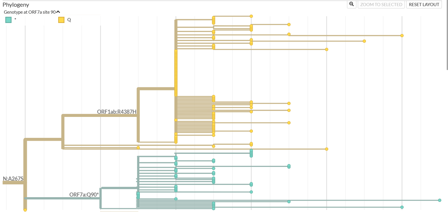 XBB.2.3+S:210del,N:A267S(151 seqs, 17 countries) and its further sublineage Orf7a:Q90*,Orf9b ...