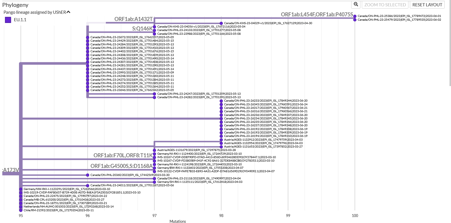 EU.1.1+Orf8:A51V+N:A173V(51 seqs, 4 countries) · Issue #390 · sars-cov-2-variants/lineage ...