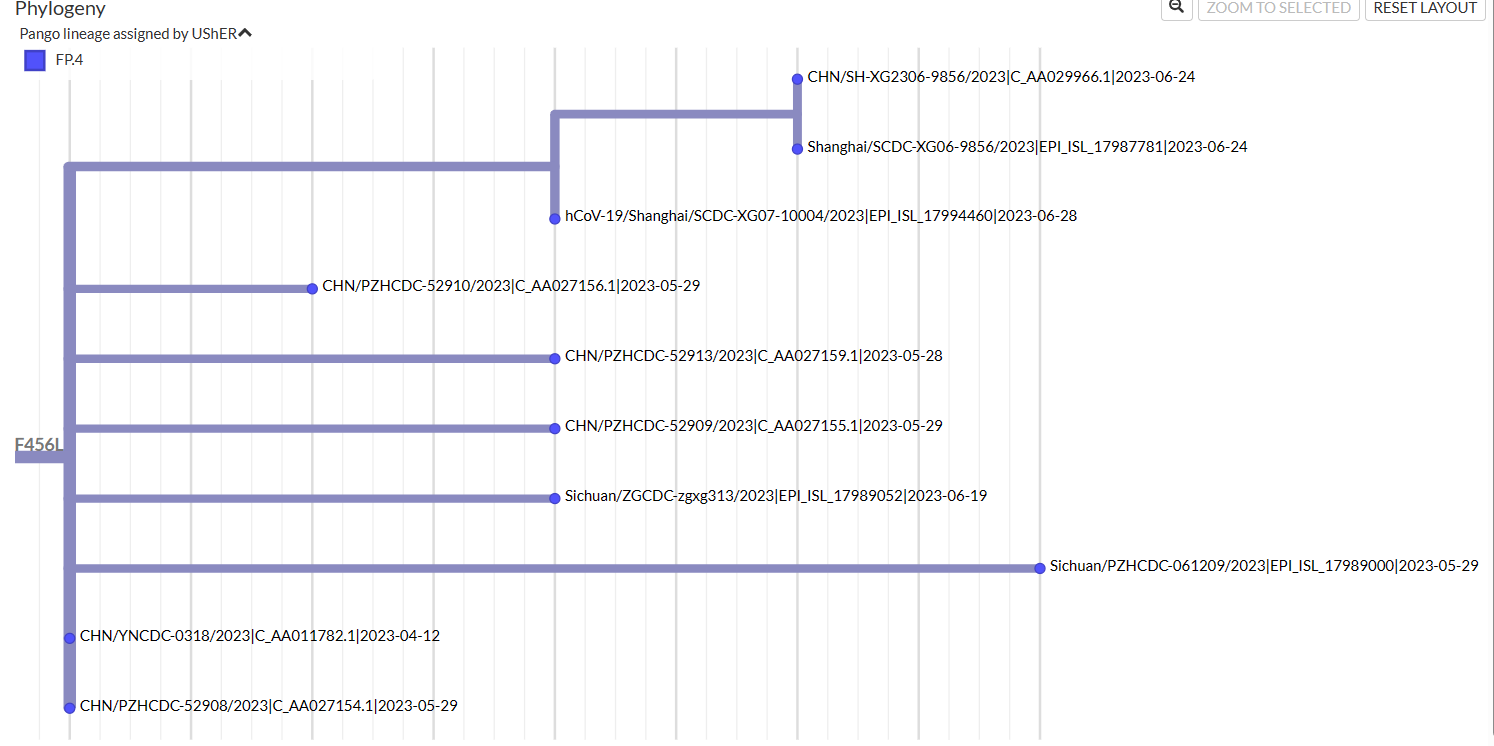 FP.4+Orf7a:L9M+S:F456L in China( 17 seqs,2 countries) · Issue #435 ...