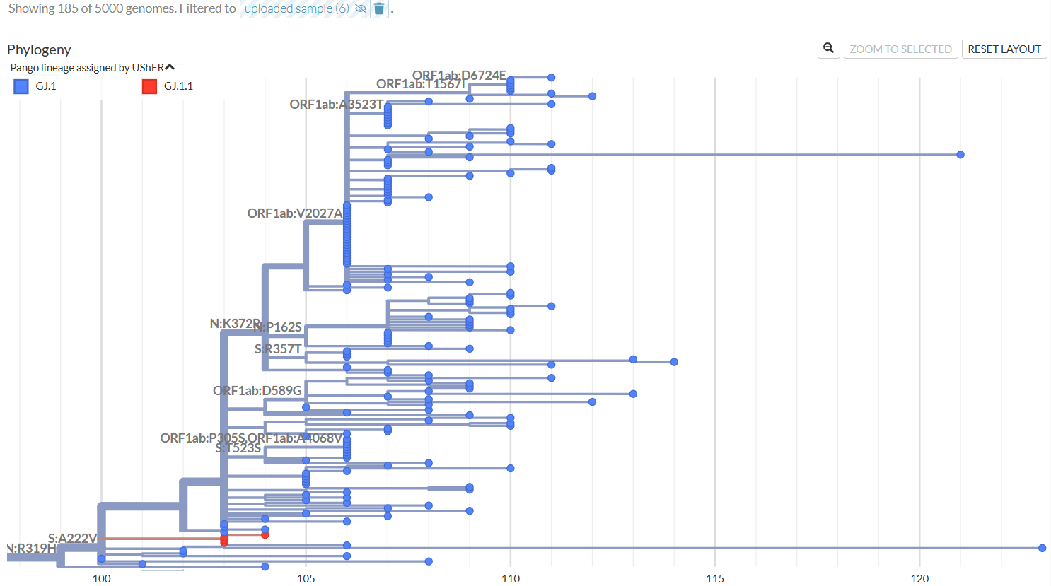 Usher bug on GJ.1.1 · Issue #465 · sars-cov-2-variants/lineage-proposals · GitHub