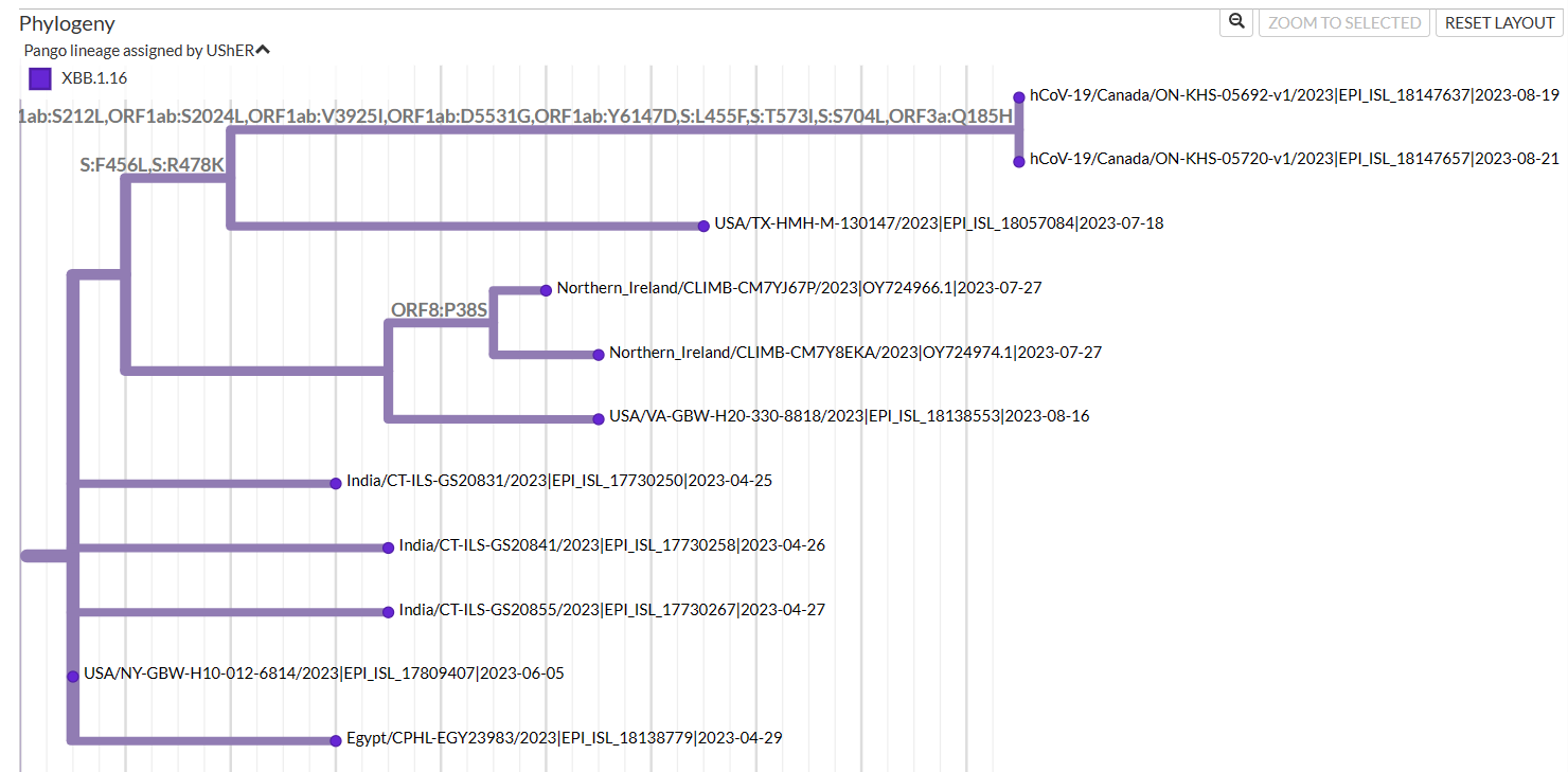 XCH.1/XBB.1.16.15 recombinant(2 seqs, Canada) · Issue #2234 · cov-lineages/pango-designation ...
