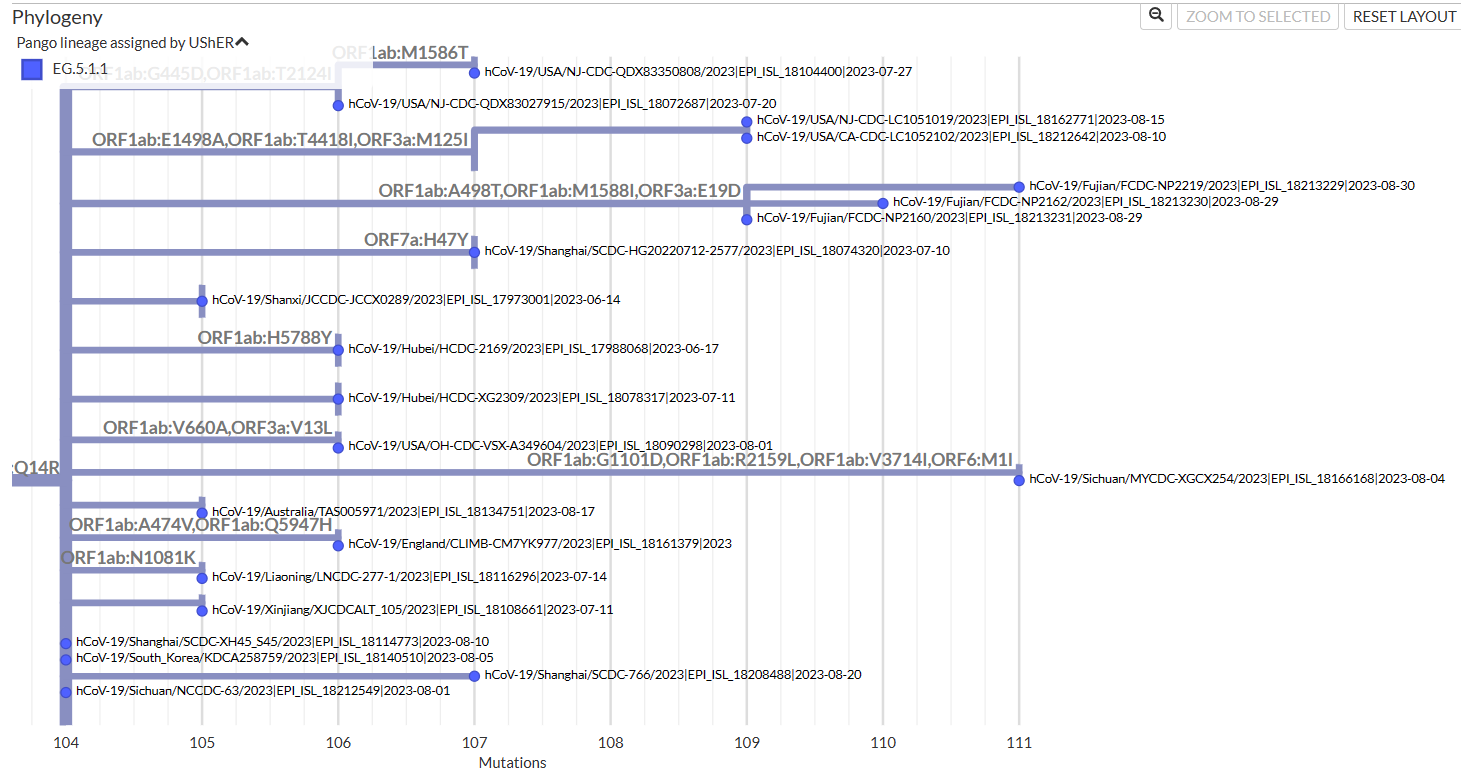 EG.5.1.1+S:Q14R(63 seqs on main branch, other 43 distributed on 24 separate branches) · Issue ...