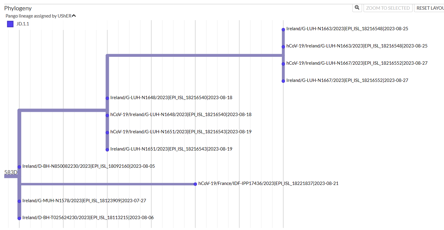 JD.1.1+S:E583D(8 seqs, 2 countries) · Issue #754 · sars-cov-2-variants/lineage-proposals · GitHub