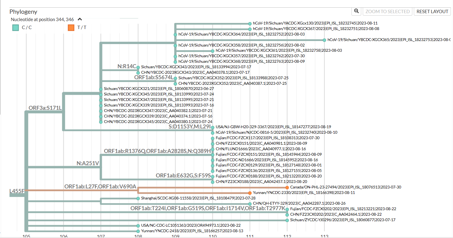Potential Recombinant of XBB.1.5.63/HK.8 (2 seqs, 2 countries) · Issue #766 · sars-cov-2 ...