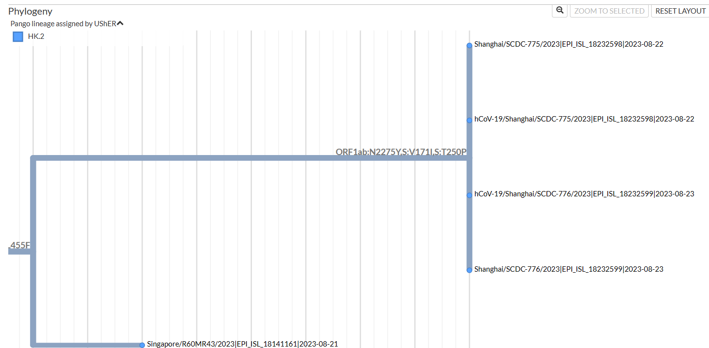 Two EG.5.1.1+Flip+S:V171I branches (29 and 4 seqs) · Issue #793 · sars-cov-2-variants/lineage ...