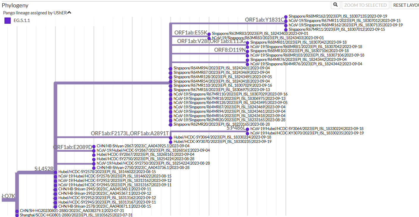 EG.5.1.1+N:Q7K+S:L452R(20 seqs, 2 countries) · Issue #2307 · cov-lineages/pango-designation · GitHub