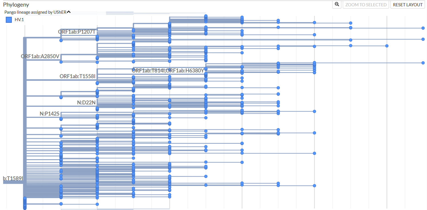 HV.1+Orf1a:T1589I(337 seqs, 18 countries) · Issue #2378 · cov-lineages/pango-designation · GitHub