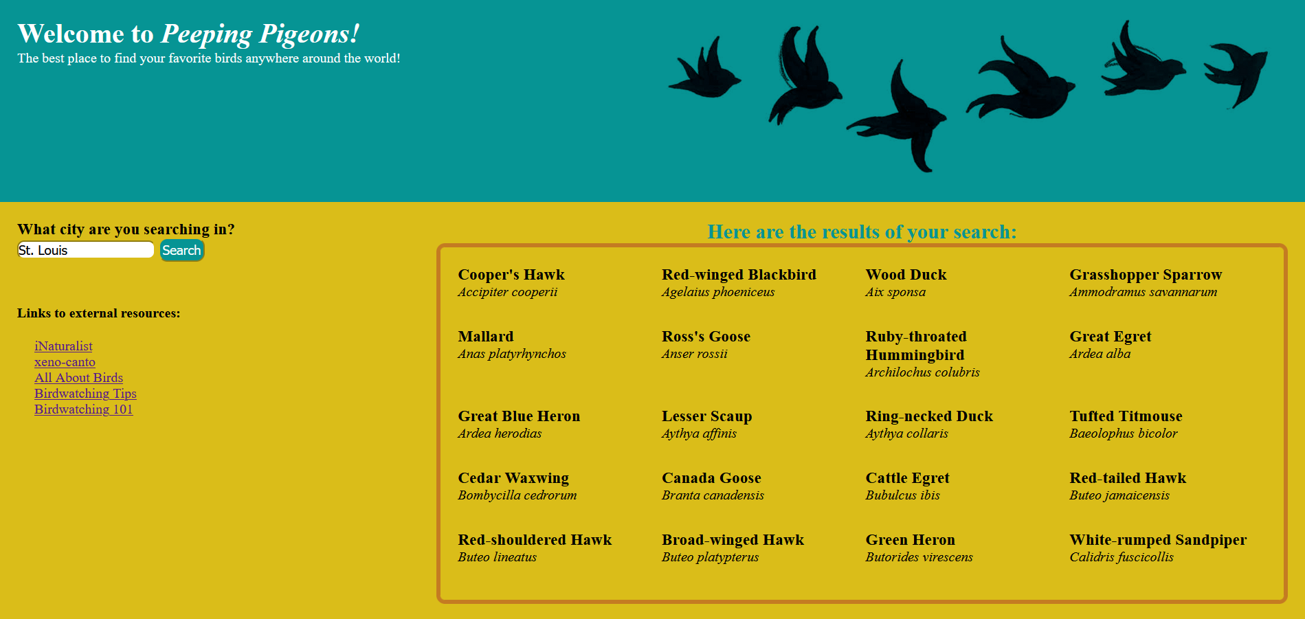 GitHub - Morettilouie/Peeping-Pigeons
