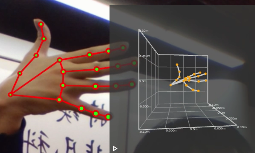 For the image of the back of the hand, the MULTI_HAND_WORLD_LANDMARKS ...