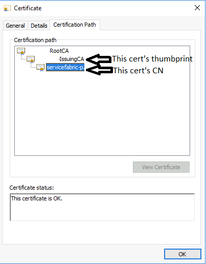 [Certificate Issue] - Service Fabric stuck on “Waiting for Nodes ...