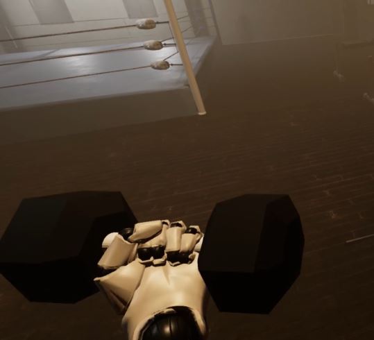 GitHub - nls-whs/VRBoxing