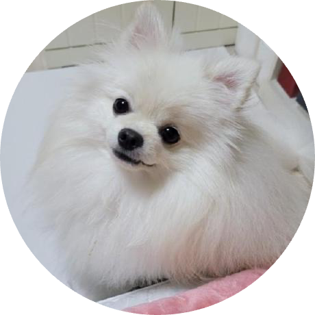 GitHub - naruto-rfp/naruto