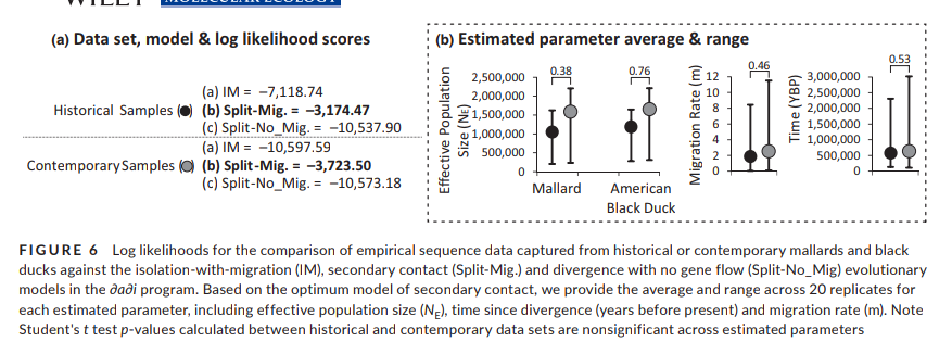 QC for MallardBlackDuck_2L19 (AnaPla) · Issue #921 · popsim-consortium/stdpopsim · GitHub