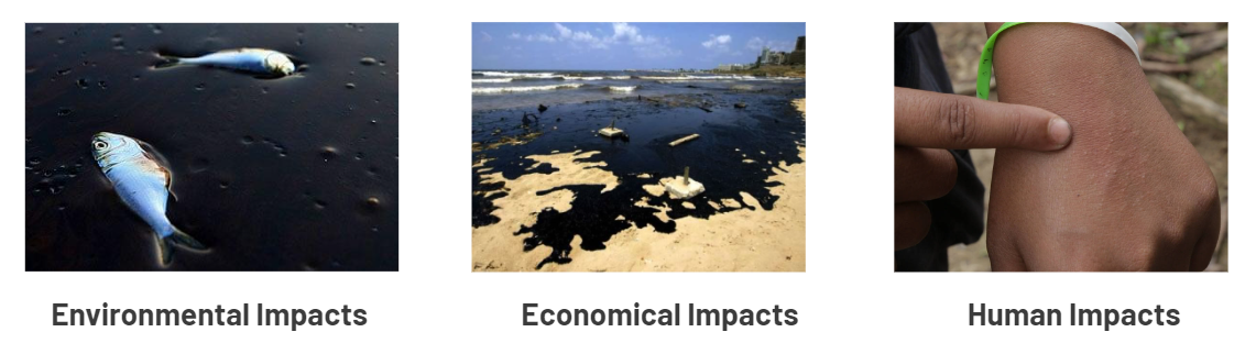 GitHub - WarintornNawong/DSI_Project_Capstone