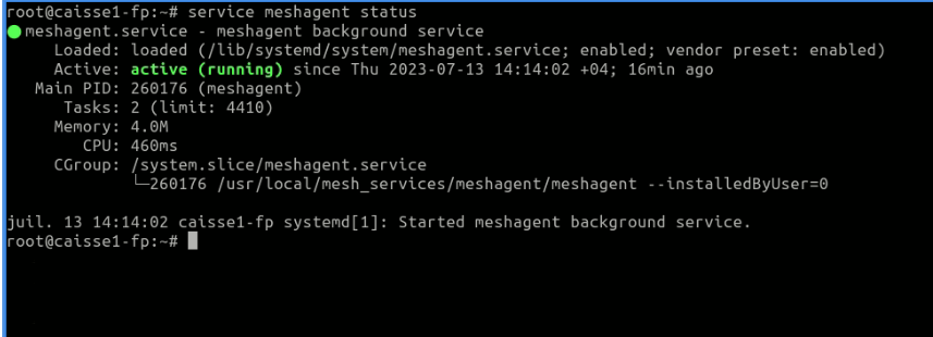 Devices doesn't appear in dashboard · Issue #5240 · Ylianst/MeshCentral · GitHub