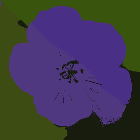 GitHub - caitlinhenry14/KMeans-Segmentation: Color-based image ...