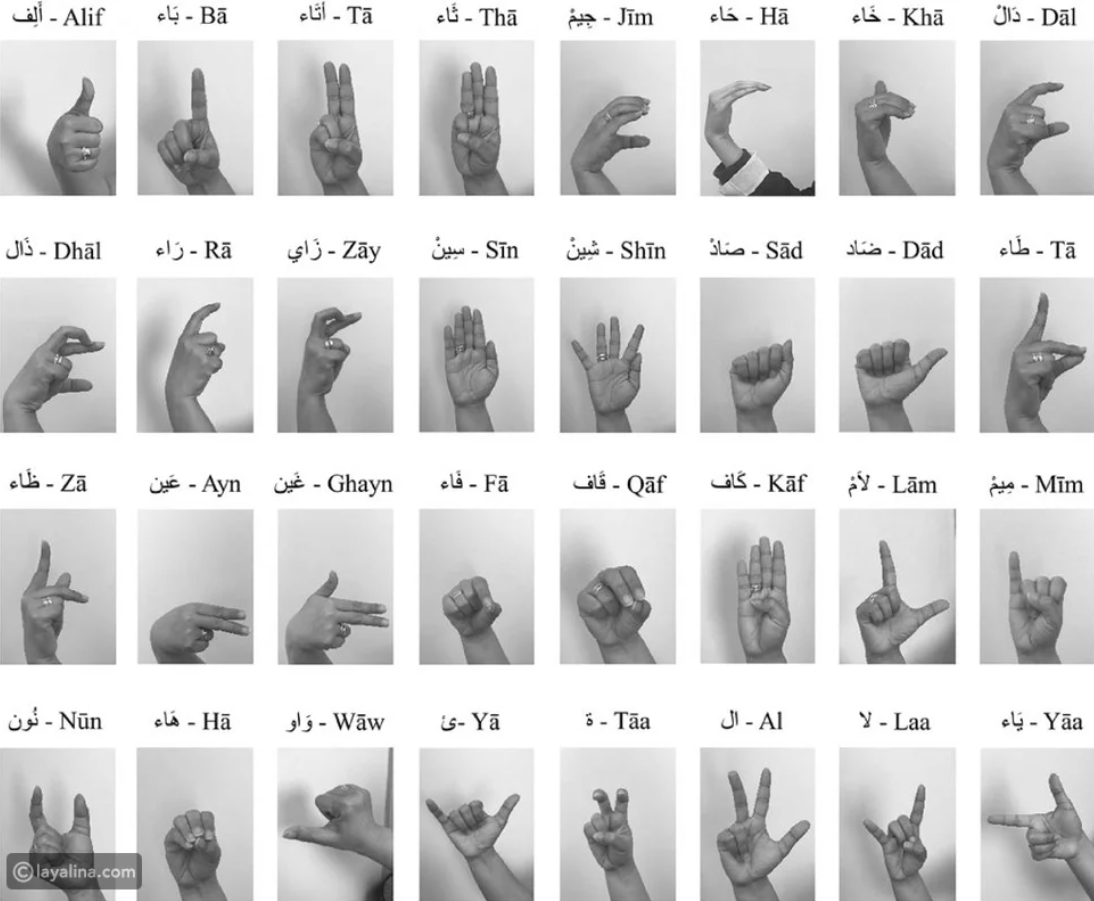 GitHub - AbdelhamidADel/Arabic-Sign-Language