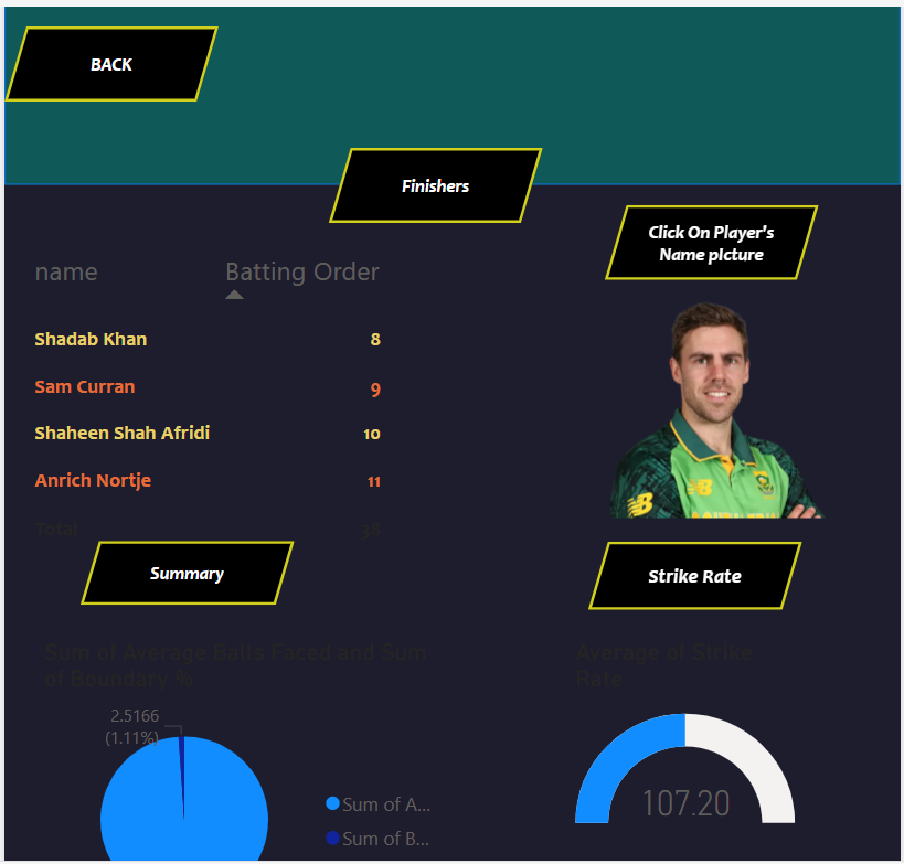 GitHub - rajeshchary1999/Cricket_T20_BI