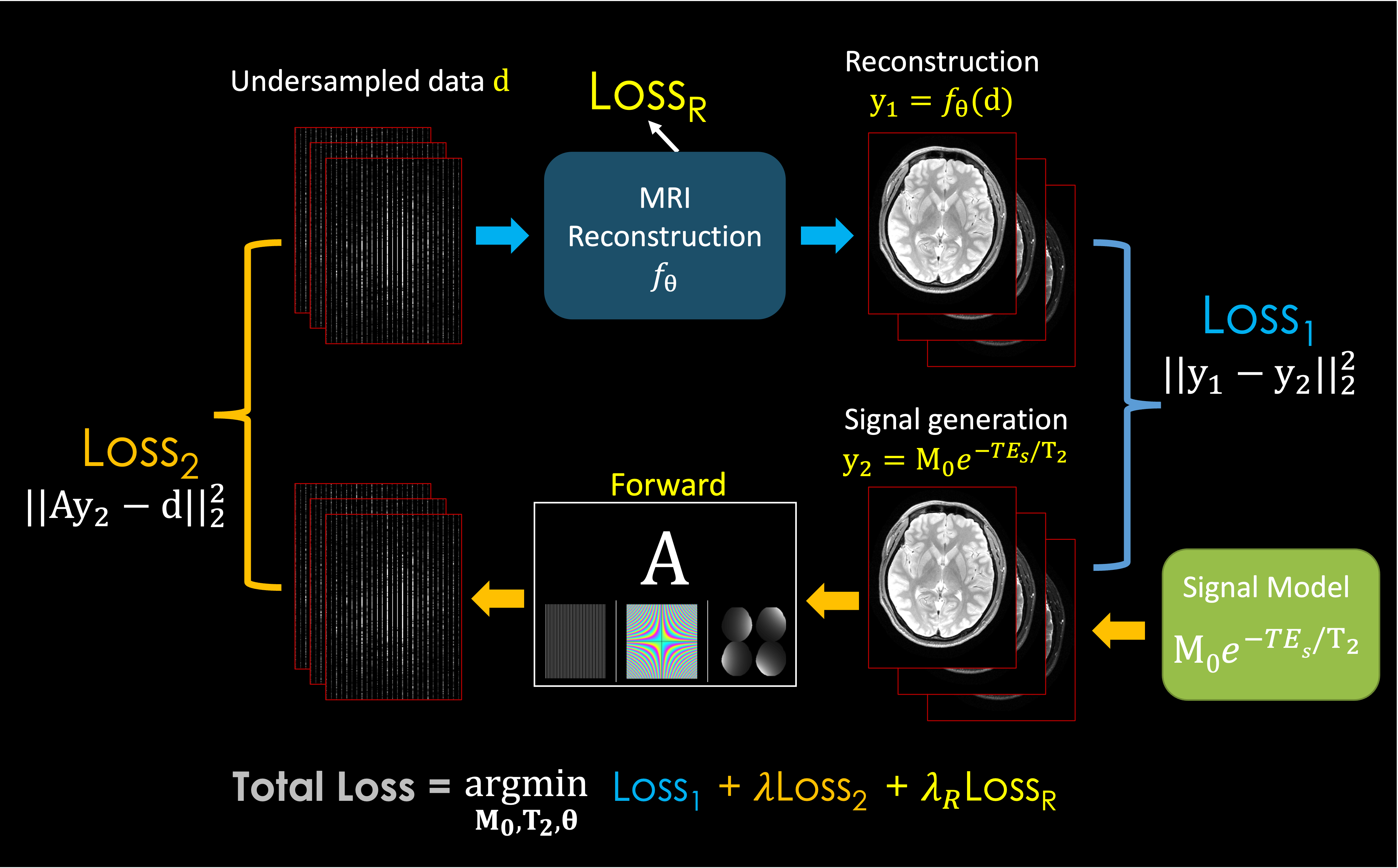 GitHub - thk87/MAPLE: Colab implementation for Accelerated MR Parameter Mapping with Scan ...