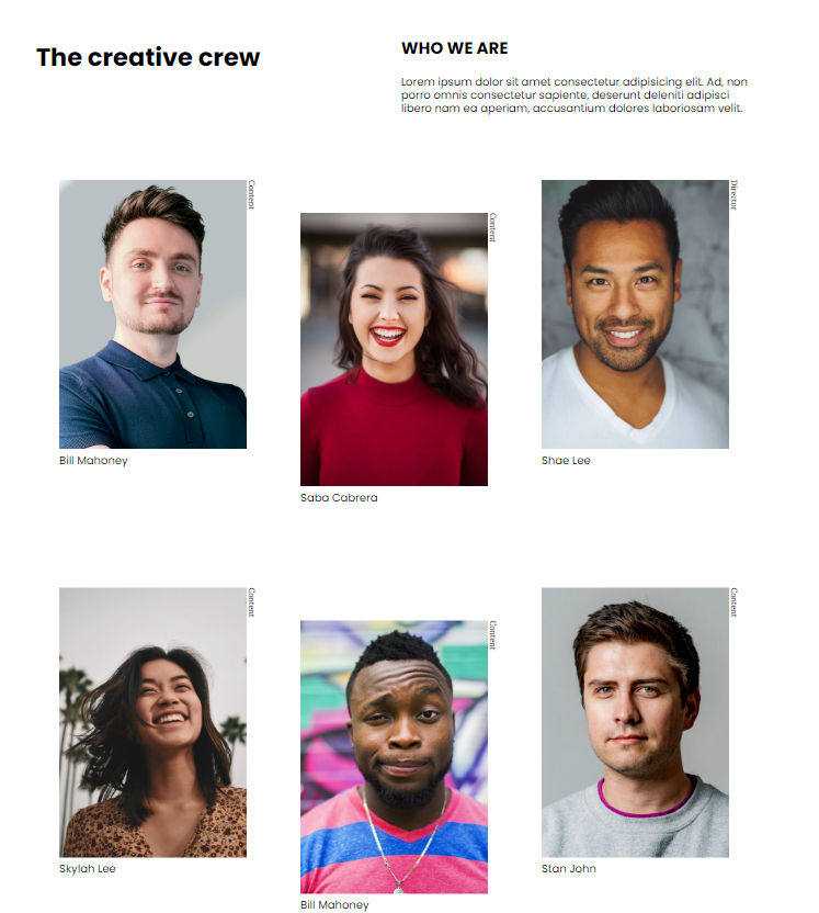 GitHub - rogue-shark/My_team_page: Project 2/8 - Responsive Website - devchallenges.io