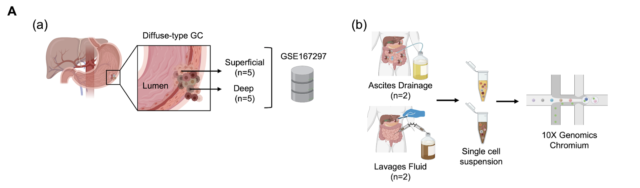 GitHub - CancerAnalysis/MultiOmics