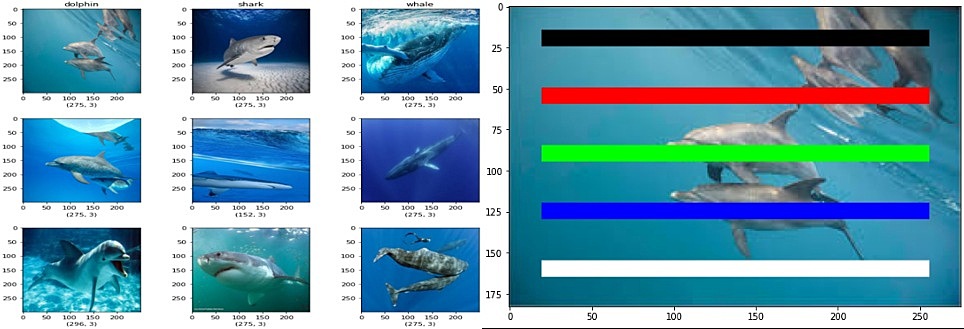 GitHub - WestChaeVI/Computer-Vision-Seminar: Studying Computer Vision