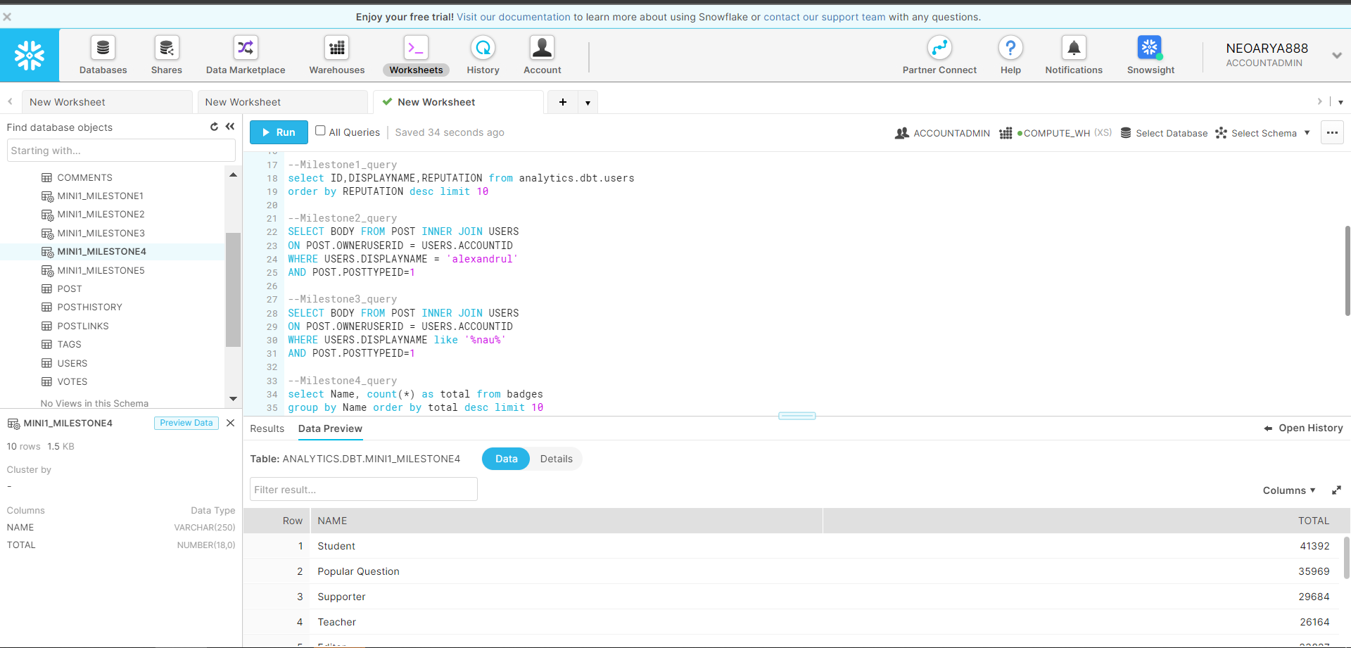 GitHub - neoarya888-deloitte/mini1-w5