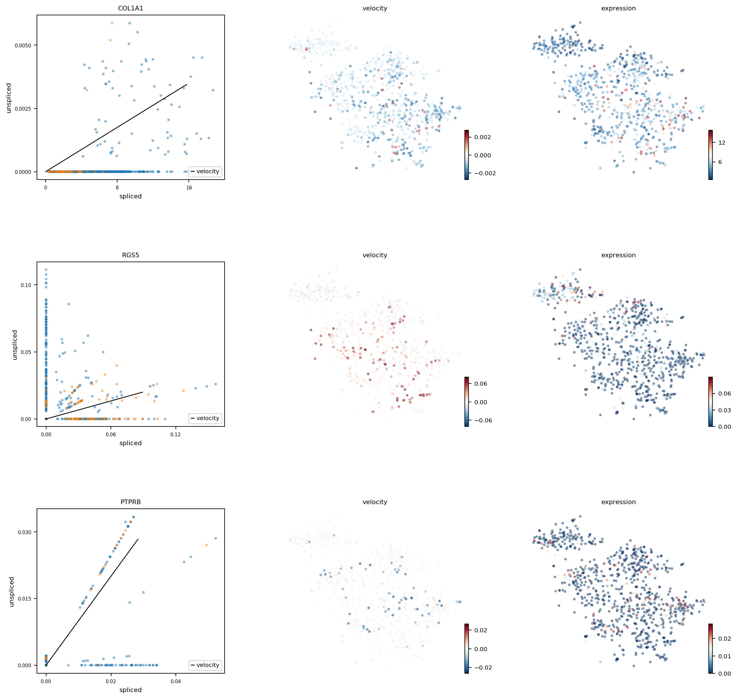 Using precomputed UMAP coordinates · Issue #37 · theislab/scvelo · GitHub