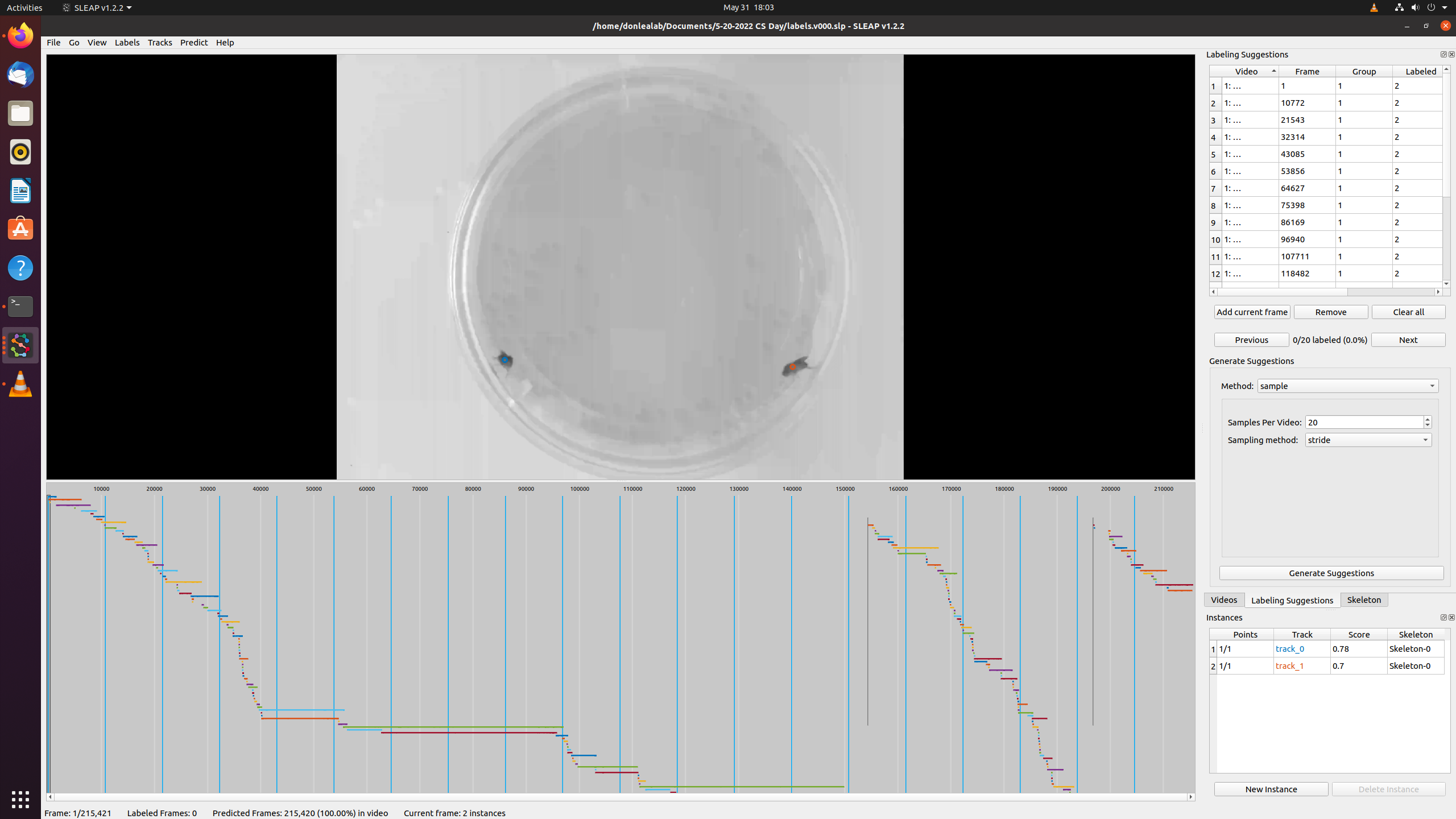 Inference Many Tracks For 2 Instances · Issue 770 · Talmolab Sleap
