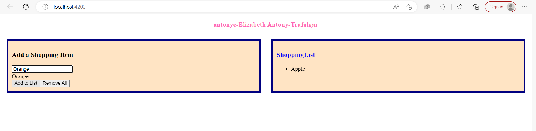 GitHub - Liz-Antony/AngularShoppingList