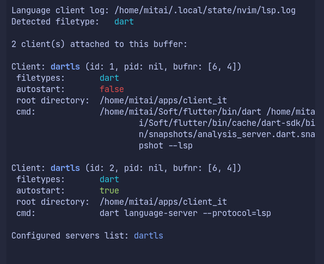 auto-completion is duplicated · Issue #1313 · hrsh7th/nvim-cmp · GitHub