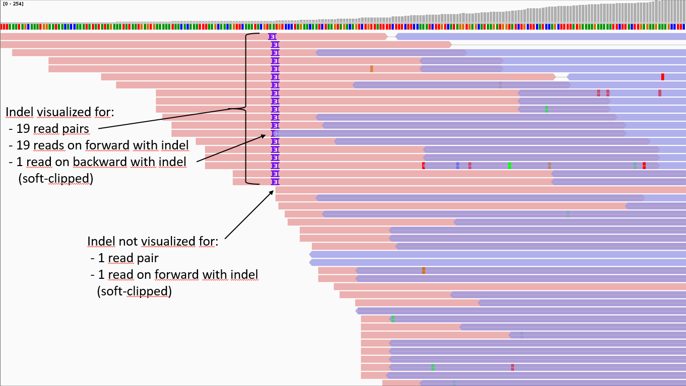 bcftools mpileup - Difference between IDV and FORMAT/AD* fields · Issue #912 · samtools/bcftools ...