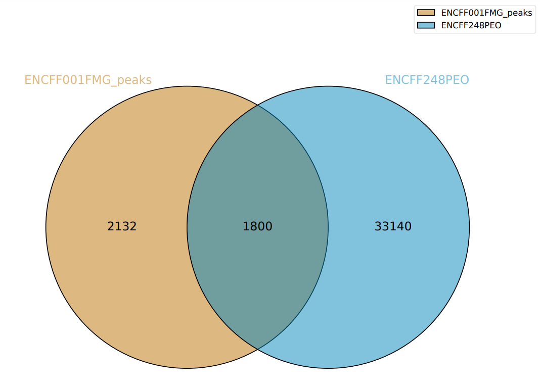 GitHub - missaline/hse_hw2_chip