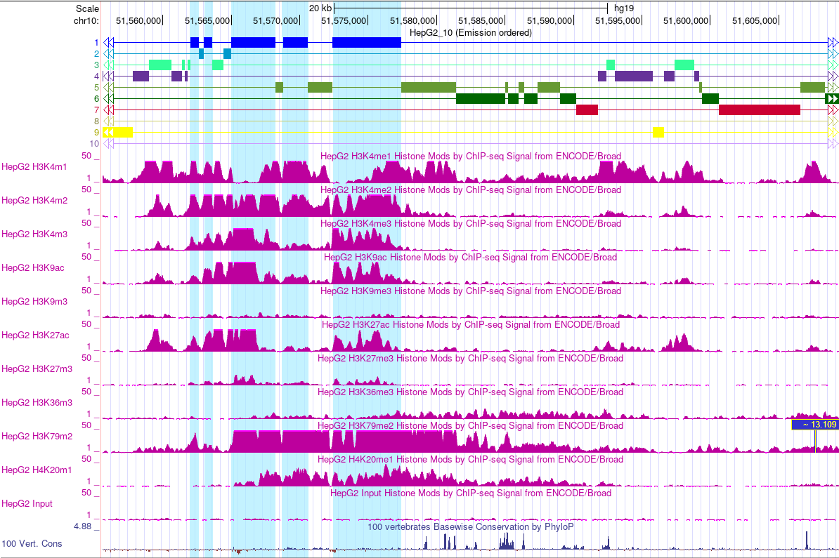 GitHub - missaline/hse_hw3_chromhmm