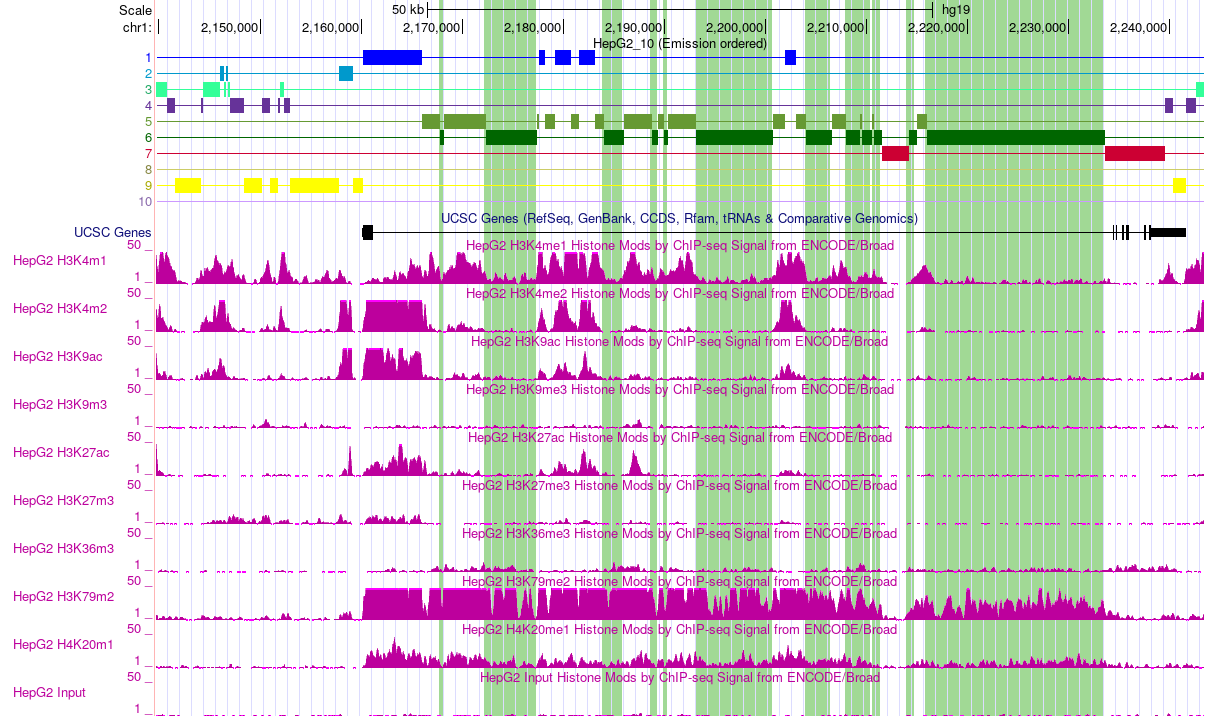 GitHub - missaline/hse_hw3_chromhmm