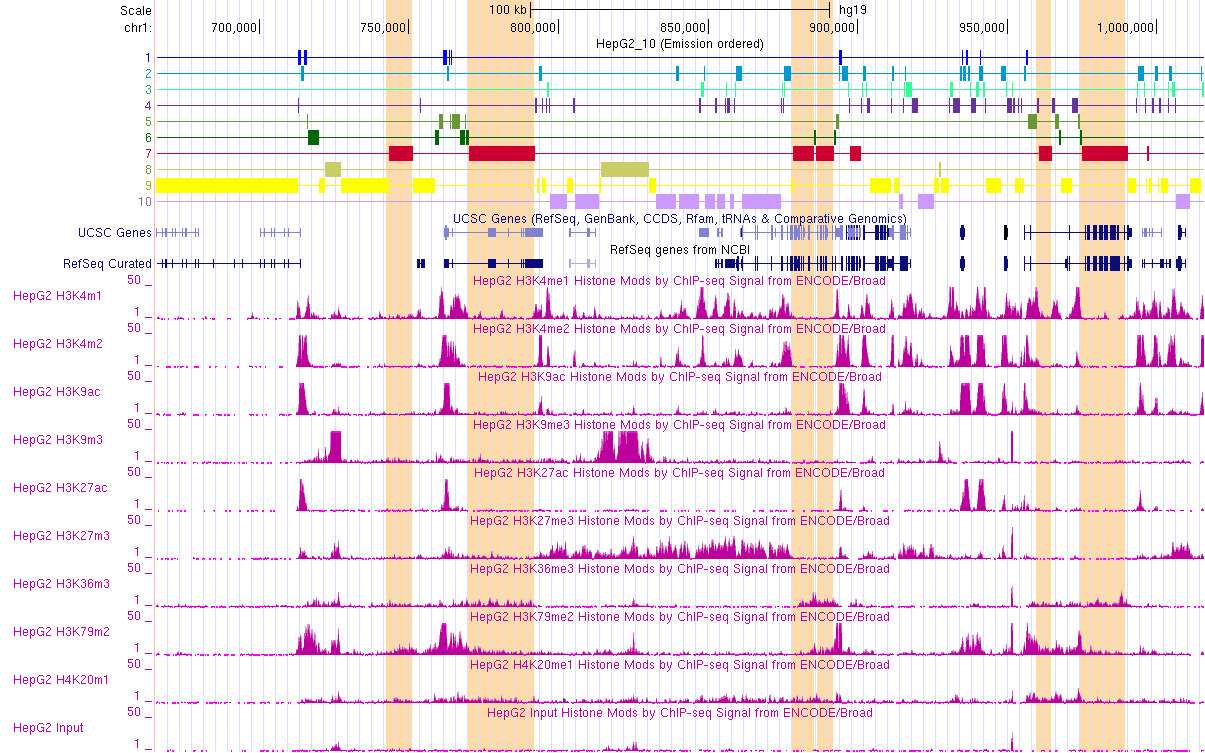 GitHub - missaline/hse_hw3_chromhmm