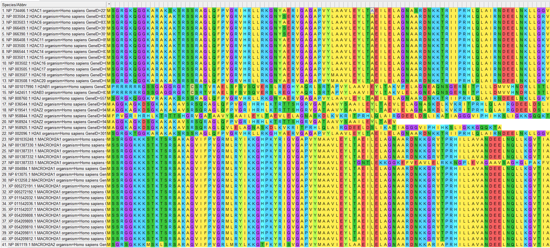 GitHub - missaline/hse23_project