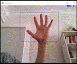 GitHub - Albaryan/cameramouse