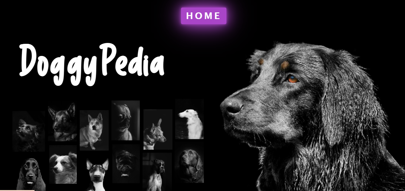 GitHub - meliveyrat1/Dogs-App: projects