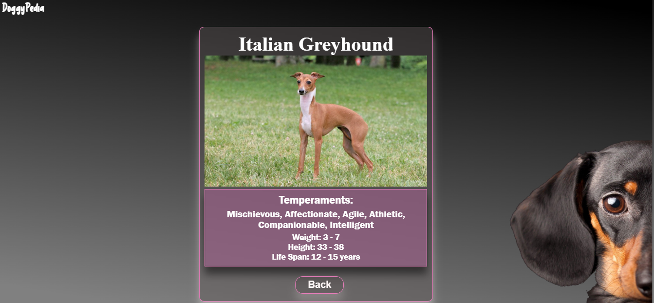 GitHub - meliveyrat1/Dogs-App: projects