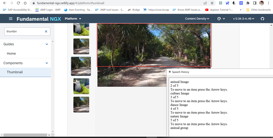 Accessibility Testingthumbnailplatform · Issue 6076 · Sapfundamental Ngx · Github 4654