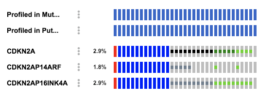 calls to oncokb fail for CDKN2A-isoform gene names · Issue #321 · cBioPortal/datahub · GitHub