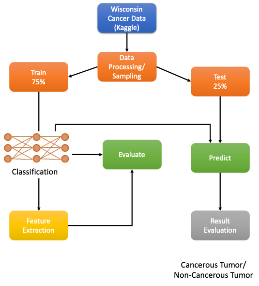 GitHub - merein01/Breast_Cancer_Final_Project: Create Machine Learning ...