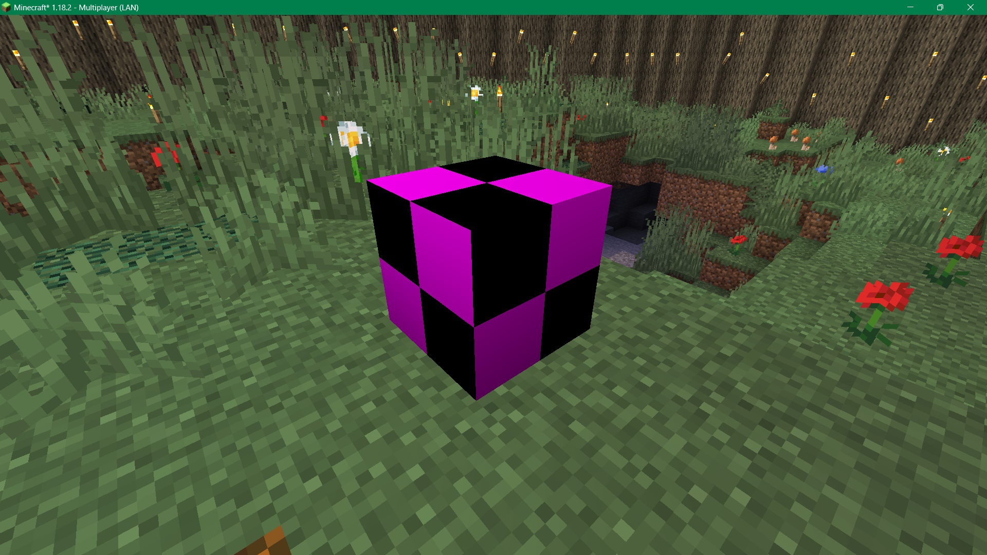 missing texture?? · Issue #100 · DynamicTreesTeam/DynamicTrees-BOP · GitHub