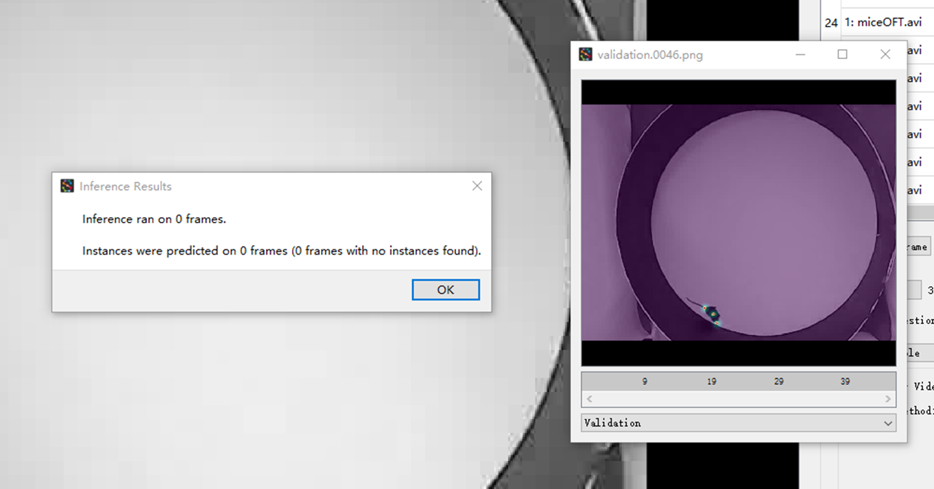 Inference Result Problem Instances Were Predicted On 0 Frames 0