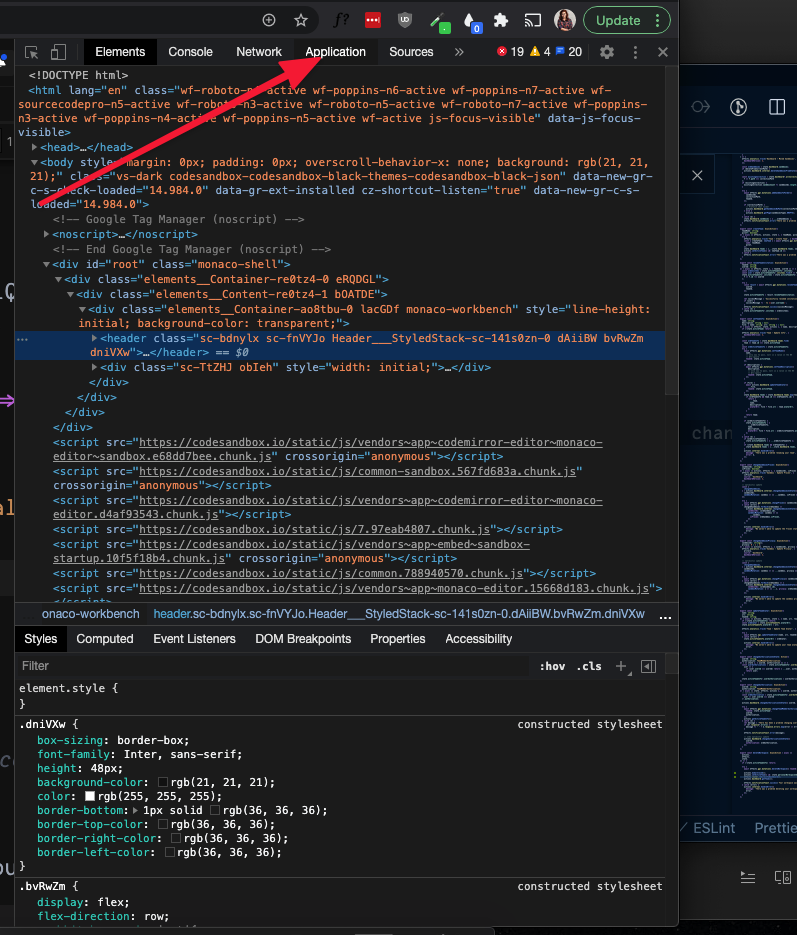 someone can help me? i cant write, or erase anything in codesandboxes ...